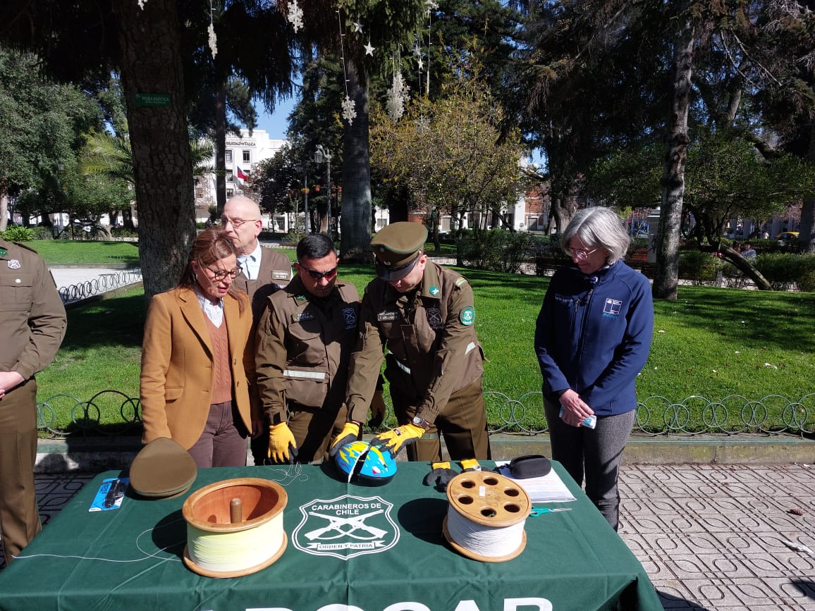 Autoridades concientizan sobre el uso del hilo curado - Diario El Centro