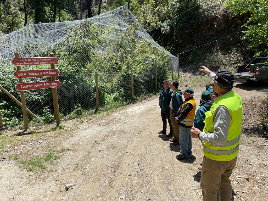 Crean Refugio de Transición para Fauna Silvestre Rescatada - Diario El ...