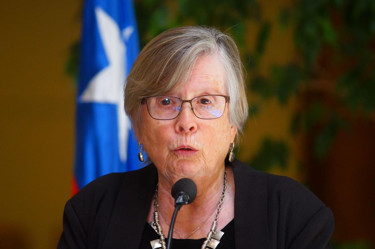 Diputada Bulnes insiste en la captura de Agustín O’Ryan Soler por casos ...