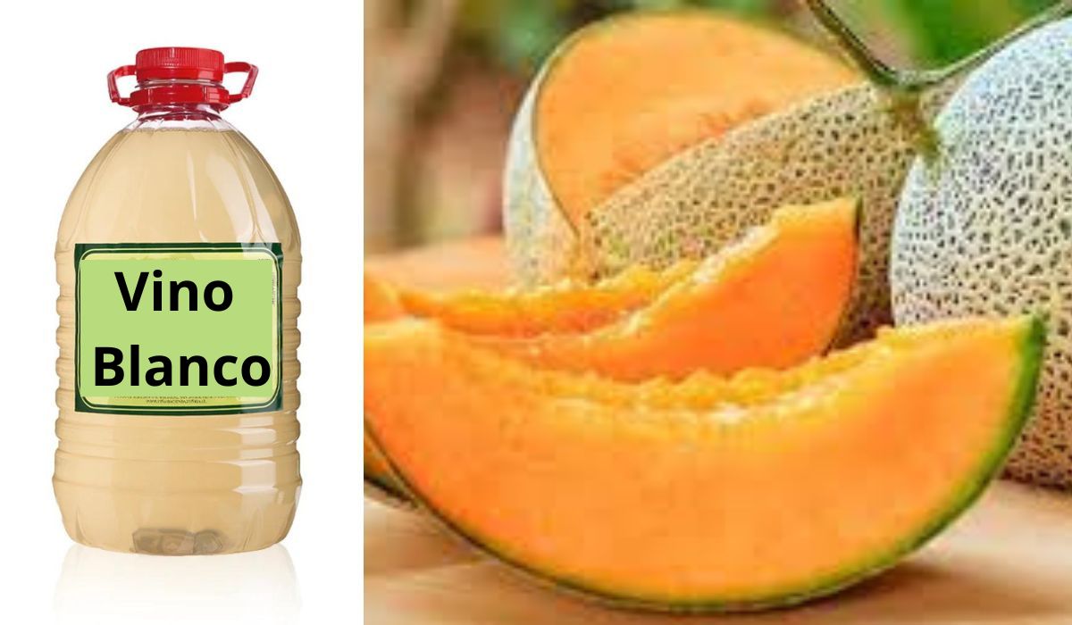 15 de Enero: Día del Melón con Vino "Melvin" - Diario El Centro