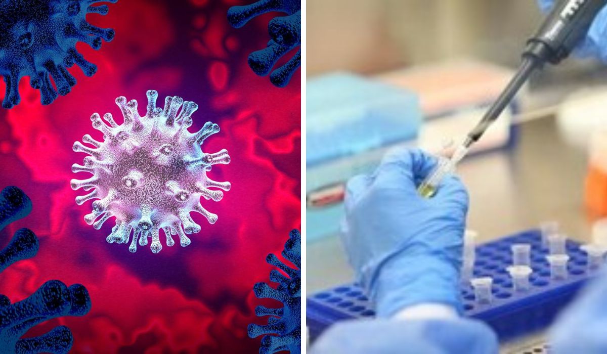 OMS Advierte por Nueva Cepa: Variante "Pirola" - Diario El Centro