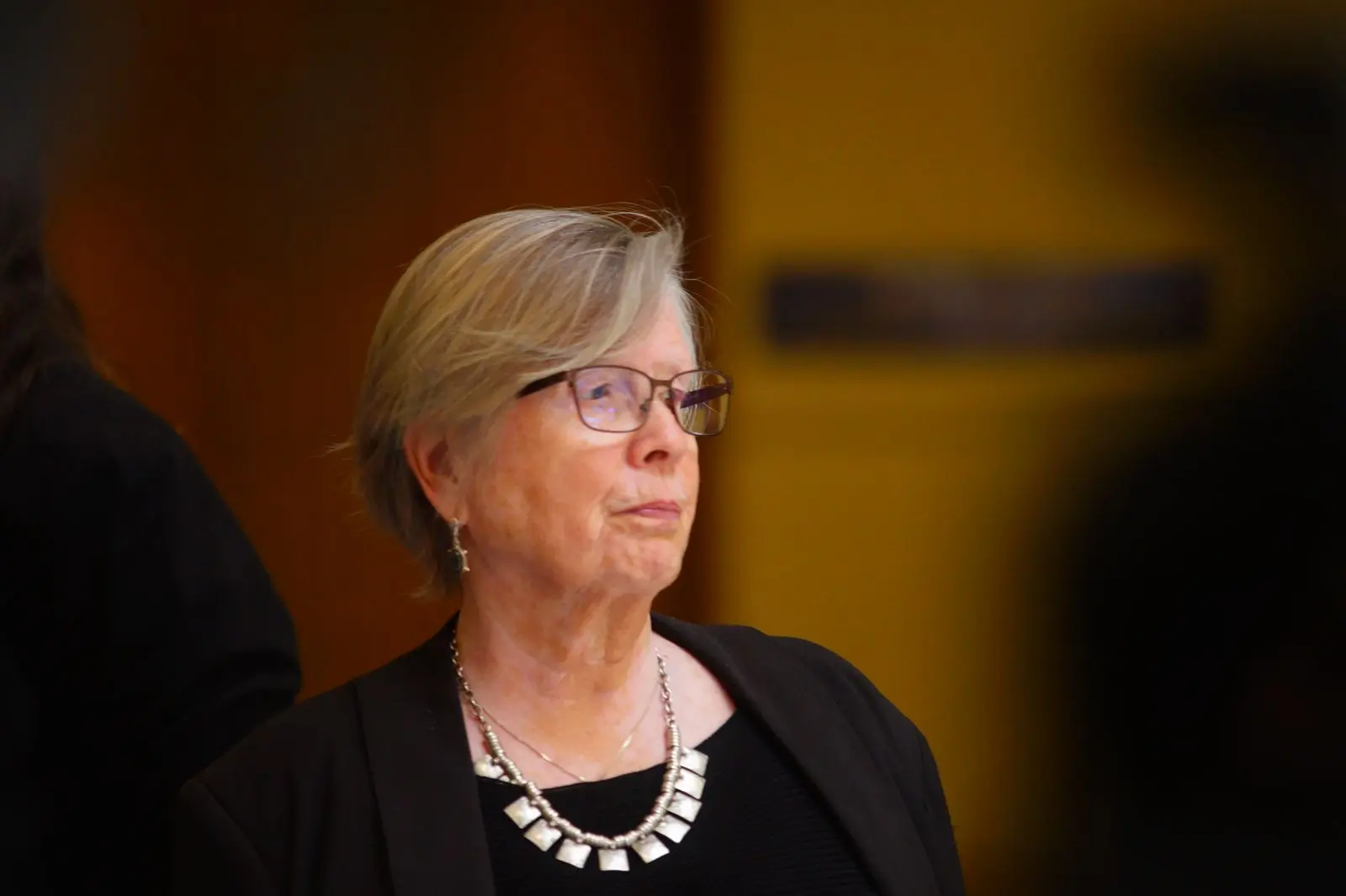 Diputada Mercedes Bulnes expresando sus condolencias por el ...