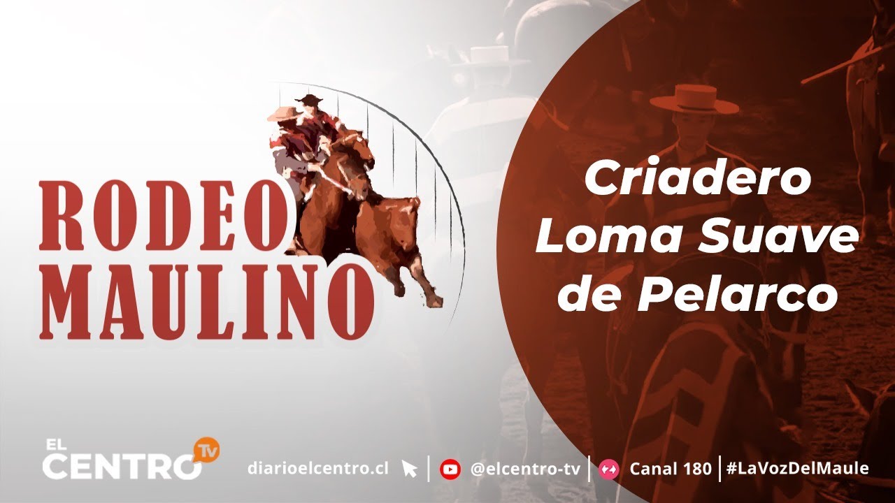 Descubre la Pasión por el Rodeo Maulino en El Centro TV - Diario El Centro