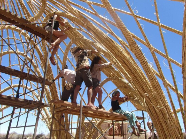 Construcción en Talca con quincha: Beneficios y Ventajas - Mi Chile Lindo