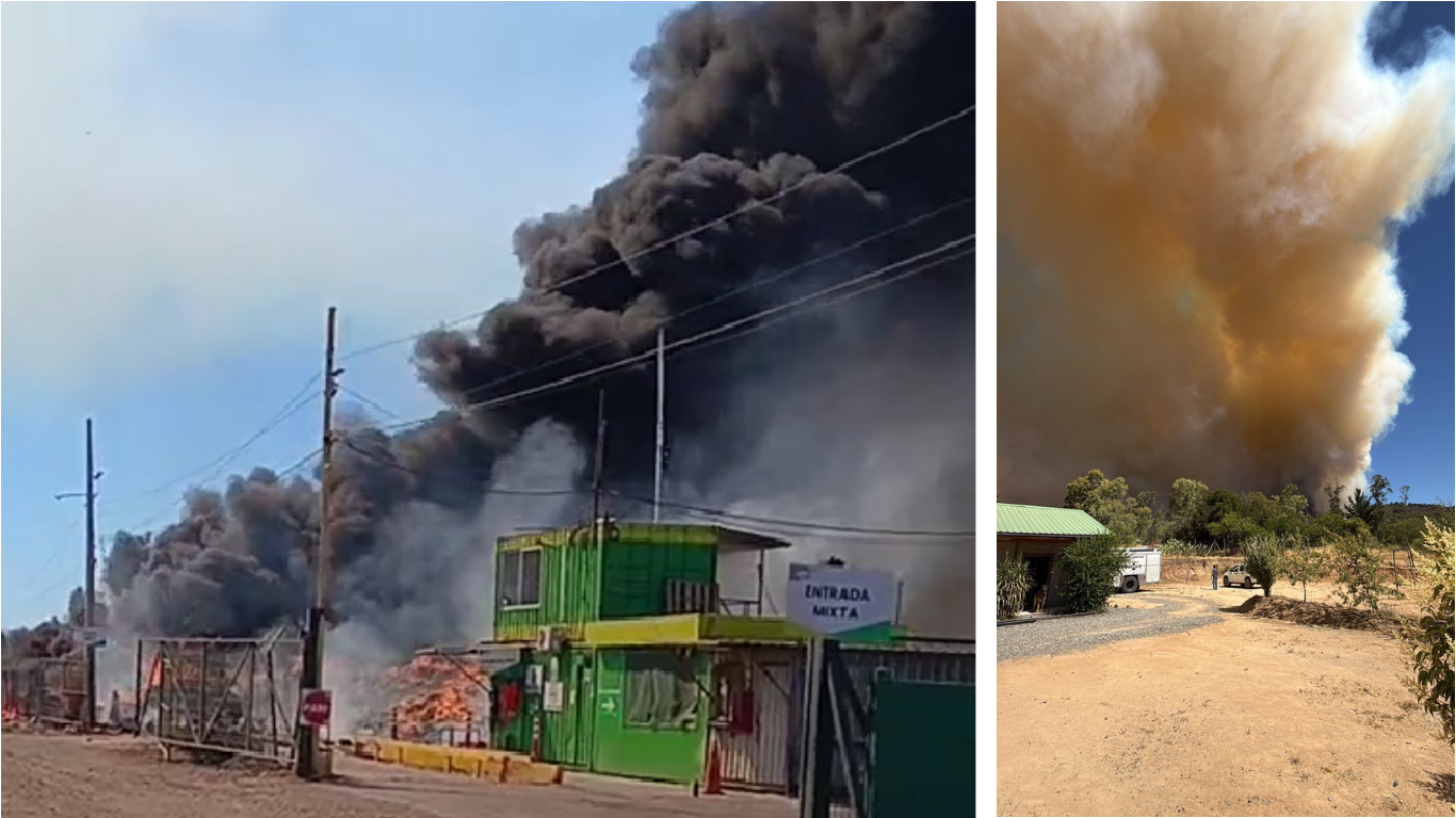 Alerta Roja en Maule por incendio forestal cercano a viviendas - Diario ...