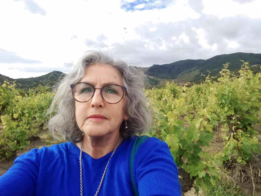 A propósito del Diálogo y la Conversación en Chile - Diario El Centro